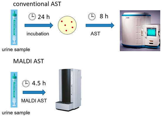 Rapid Antibiotic Susceptibility Testing of Gram-Negative Bacteria ...