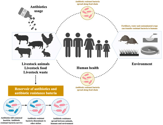Antimicrobial Resistance and Clonal Lineages of Escherichia coli from ...