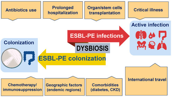 The Impact of COVID-19 Pandemic on ESBL-Producing Enterobacterales Infections: A Scoping Review