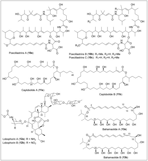 Extraction, Isolation, Characterization, and Bioactivity of ...