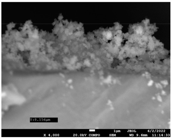 Νanomaterial-Loaded Polymer Coating Prevents the In Vitro Growth of ...
