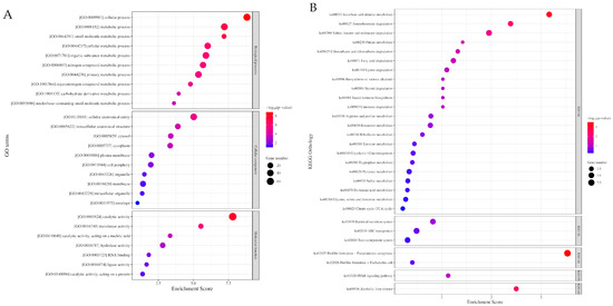 Antibiotics | Free Full-Text | Comparative Transcriptomic Profiling of ...