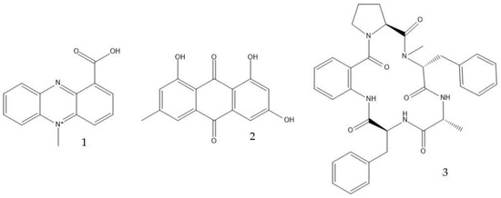 Beyond Penicillin: The Potential of Filamentous Fungi for Drug ...