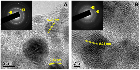 Antibacterial Activity of Biosynthesized Copper Oxide Nanoparticles ...