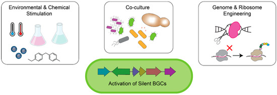 Returning to Nature for the Next Generation of Antimicrobial Therapeutics