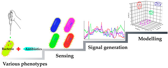 Sensing of Antibiotic–Bacteria Interactions