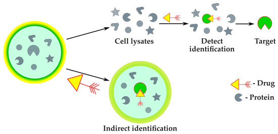Sensing of Antibiotic–Bacteria Interactions