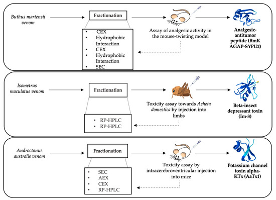 Scorpion Venom as a Source of Antimicrobial Peptides: Overview of ...