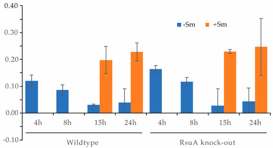 Pseudouridine Synthase RsuA Confers a Survival Advantage to Bacteria ...