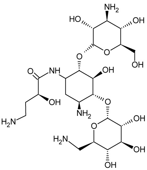 The Direction of the Antibacterial Effect of Rutin Hydrate and Amikacin