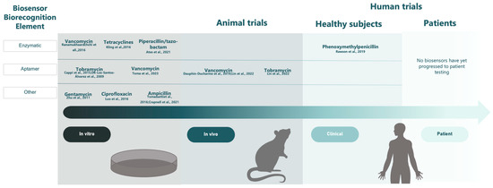 Real-Time Monitoring of Antibiotics in the Critically Ill Using Biosensors