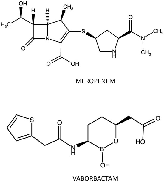 Ceftazidime/Avibactam and Meropenem/Vaborbactam for the Management of ...