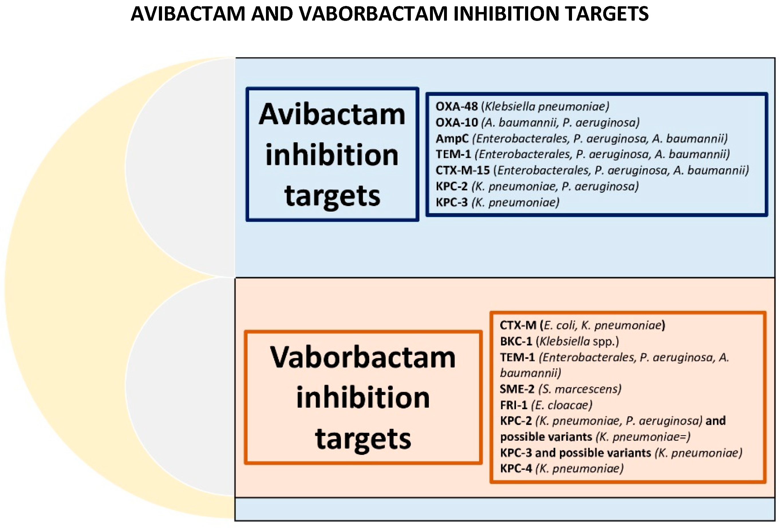 Ceftazidime/Avibactam and Meropenem/Vaborbactam for the Management of ...