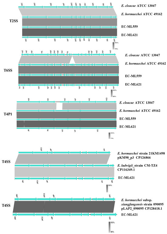 Comprehensive Analysis of Virulence Determinants and Genomic Islands of ...
