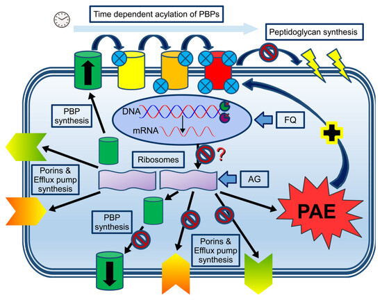 Inoculum-Based Dosing: A Novel Concept for Combining Time with ...