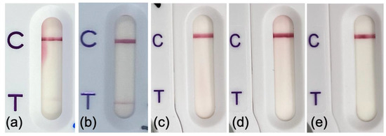 Evaluation of Two Tests for the Rapid Detection of CTX-M Producers ...