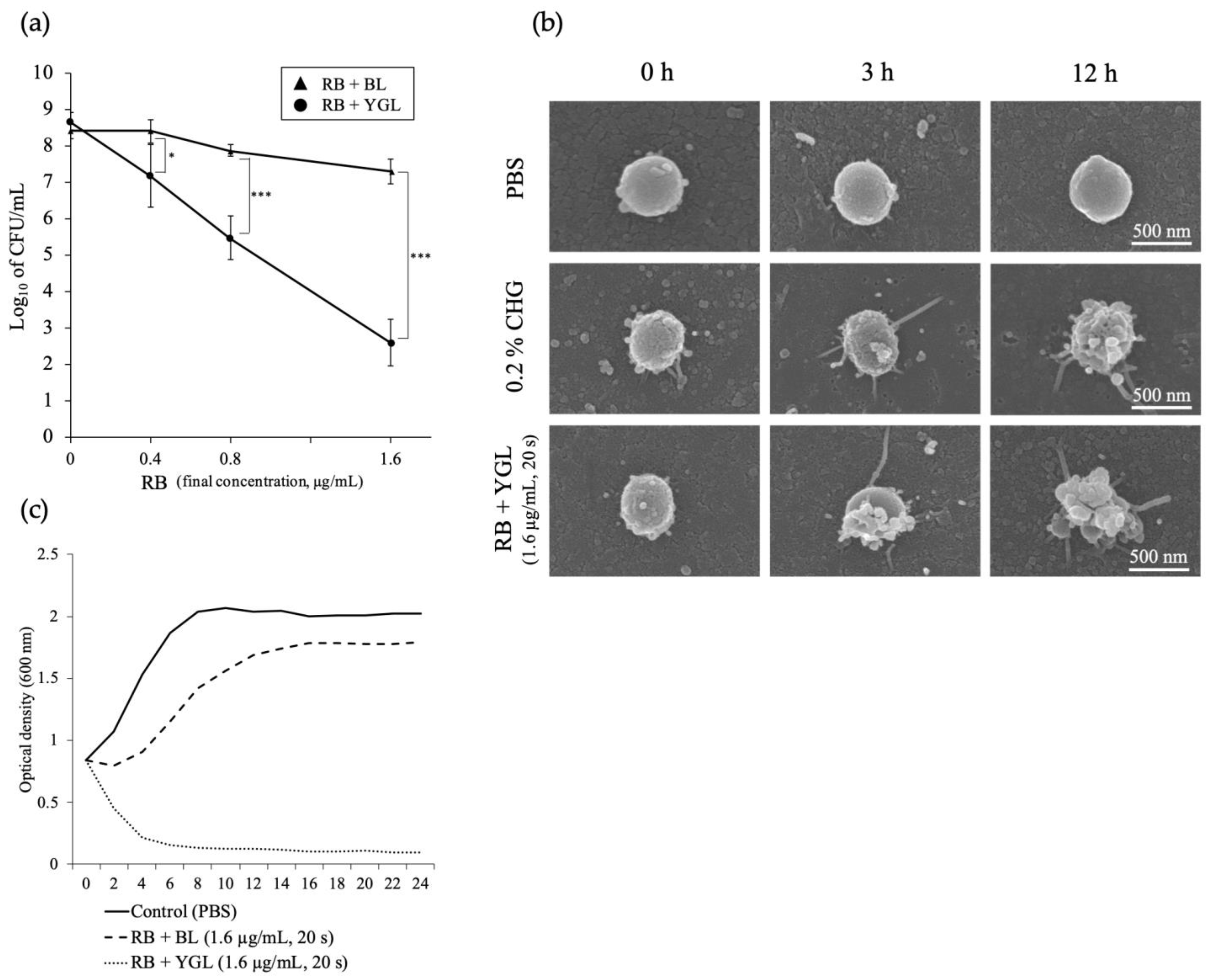 Application of Different Wavelengths of LED Lights in Antimicrobial ...