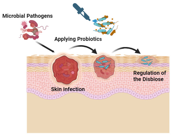 Innovative Approaches for Maintaining and Enhancing Skin Health and ...