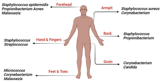 Innovative Approaches for Maintaining and Enhancing Skin Health and ...