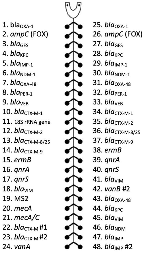 Rapid Detection of Antimicrobial Resistance Genes in Critically Ill ...