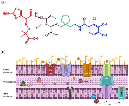Cefiderocol and Sulbactam-Durlobactam against Carbapenem-Resistant ...