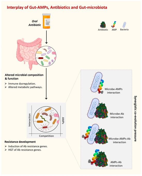 Antibiotics | Free Full-Text | Gut-Antimicrobial Peptides: Synergistic Co-Evolution with ...