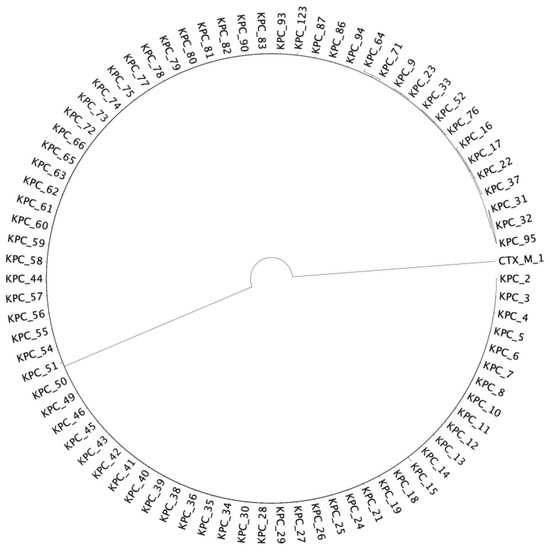 The Klebsiella pneumoniae carbapenemase (KPC) β-Lactamase Has Evolved ...