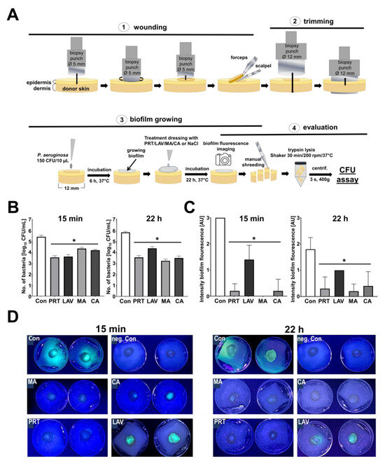 The Antimicrobial Efficacy of Topically Applied Mafenide Acetate ...