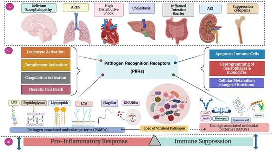 Multidrug-Resistant Sepsis: A Critical Healthcare Challenge
