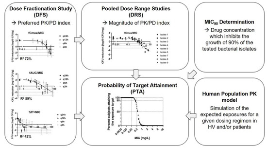 Translational PK/PD for the Development of Novel Antibiotics—A Drug ...