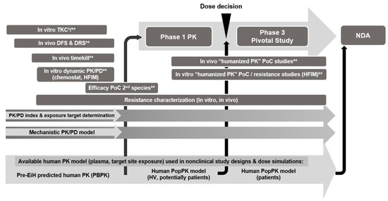 Translational PK/PD for the Development of Novel Antibiotics—A Drug ...