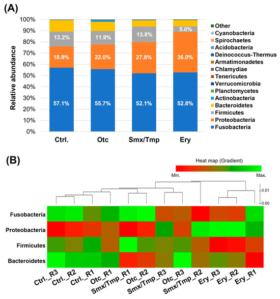 Effects of Antibiotic Residues on Fish Gut Microbiome Dysbiosis and ...