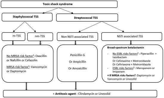 Toxic Shock Syndrome Diagram
