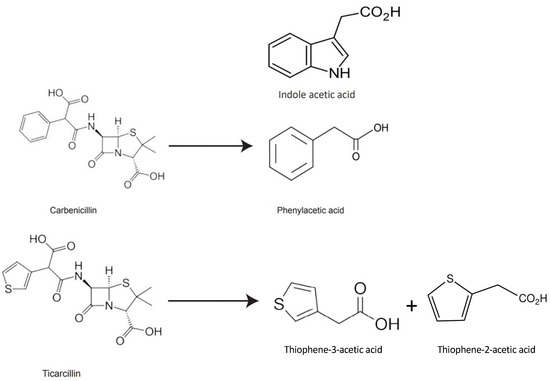 Advancing Antibiotic Residue Analysis: LC-MS/MS Methodology for ...