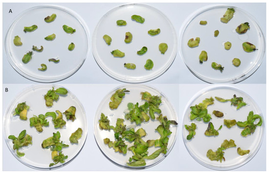 Advancing Antibiotic Residue Analysis: LC-MS/MS Methodology for ...