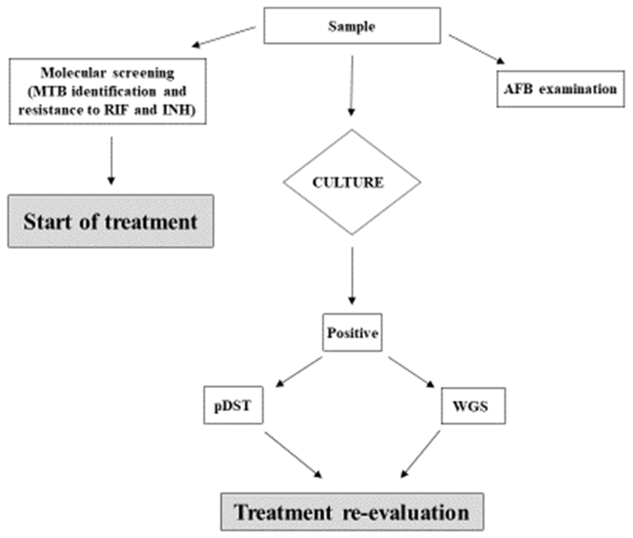 Implementation of Whole Genome Sequencing of Tuberculosis Isolates in a ...