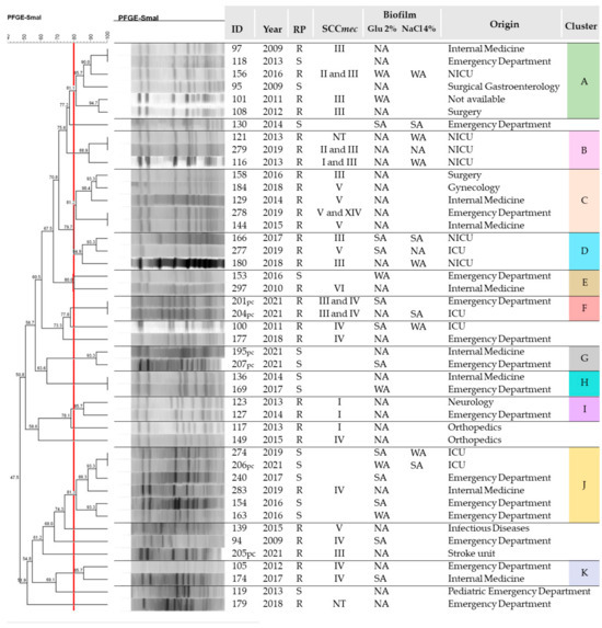Staphylococcus capitis Bloodstream Isolates: Investigation of Clonal ...