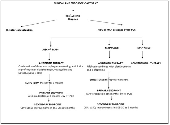 Antibiotics | Free Full-Text | Antibiotic Therapy for Active Crohn’s ...