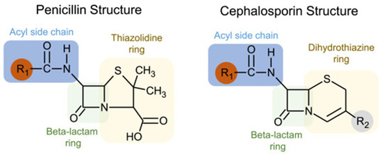 Management of Penicillin Allergy in the Perioperative Setting