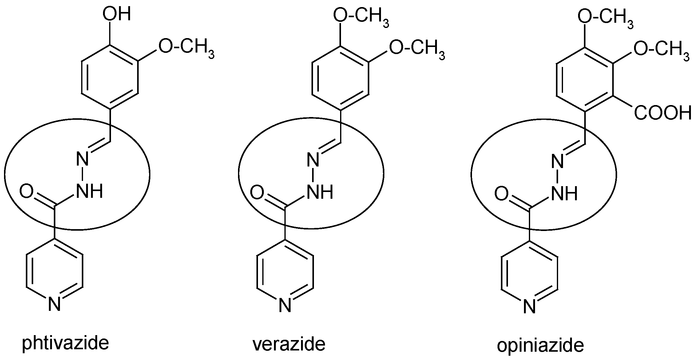 Synthesis and Characterization of New N-acyl Hydrazone Derivatives of ...