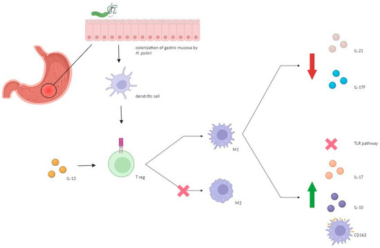 Helicobacter pylori in Inflammatory Bowel Diseases: Active Protagonist ...