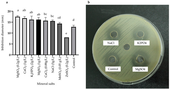 Antimicrobial Activity of Bacillus amyloliquefaciens BS4 against Gram ...