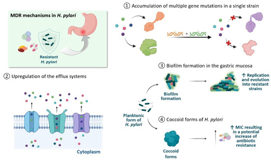 Change in Diagnosis of Helicobacter pylori Infection in the Treatment ...