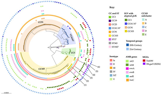 Long-Term Co-Circulation of Host-Specialist and Host-Generalist ...