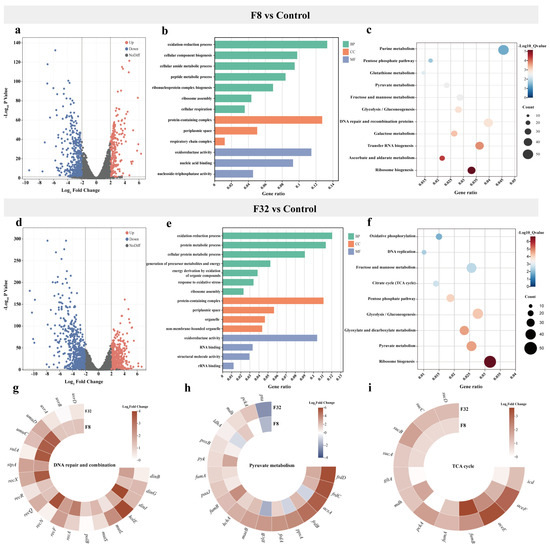 Antibiotics | Free Full-Text | Deciphering the Antibacterial Mechanisms ...