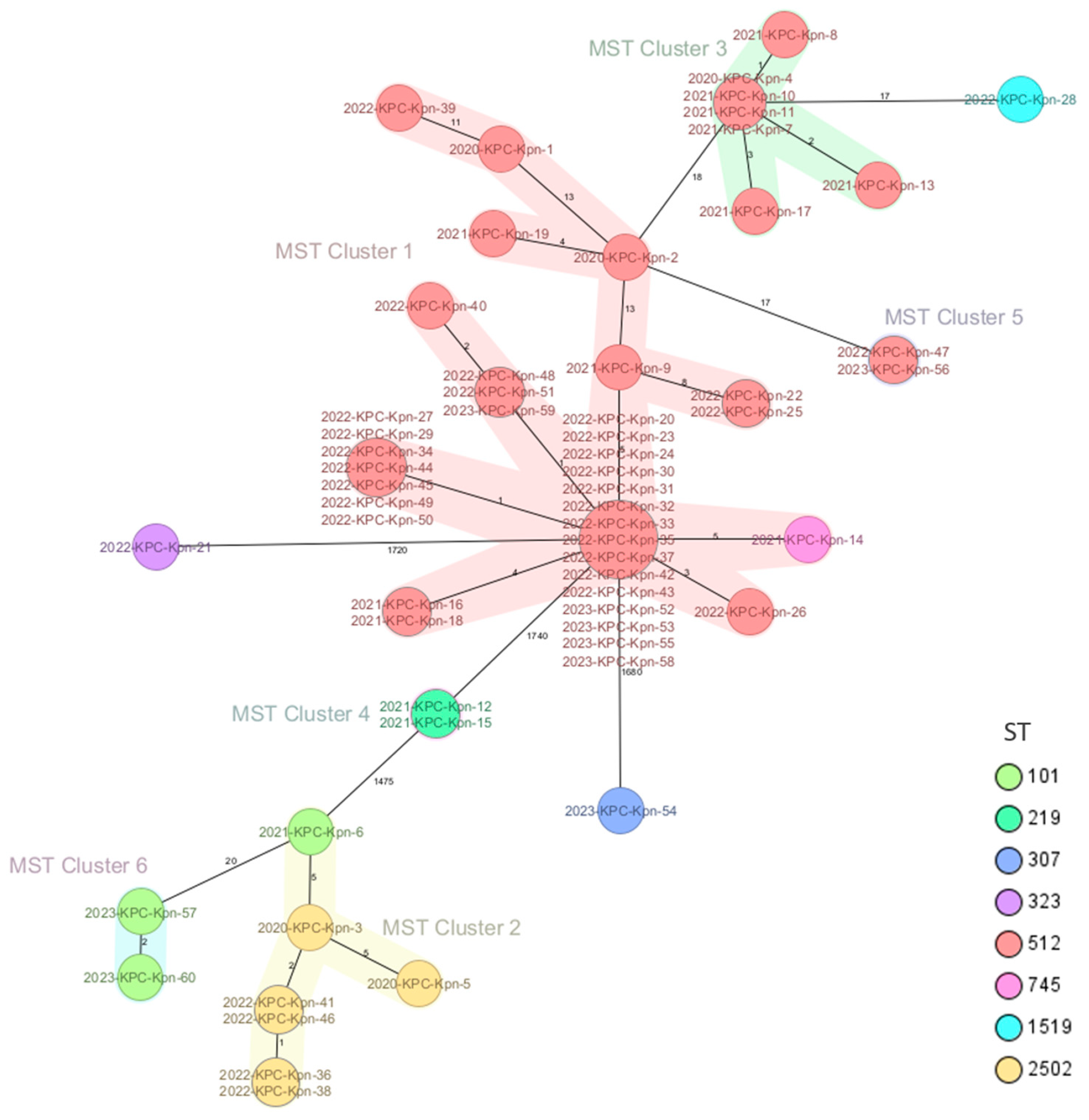 Screening of Klebsiella pneumoniae subsp. pneumoniae Strains with Multi-Drug Resistance and ...