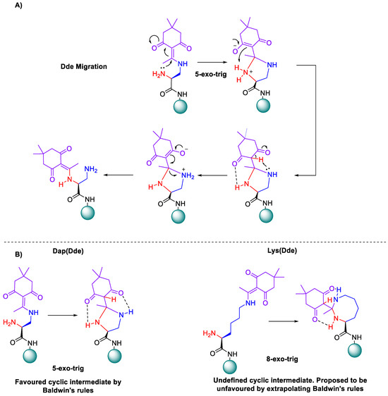 The Antimicrobial Peptide Capitellacin: Chemical Synthesis of Analogues ...