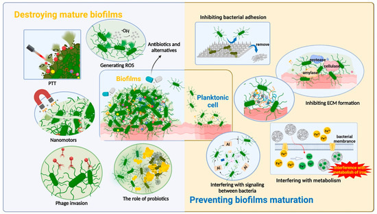 Medical Device-Associated Infections Caused by Biofilm-Forming Microbial Pathogens and ...