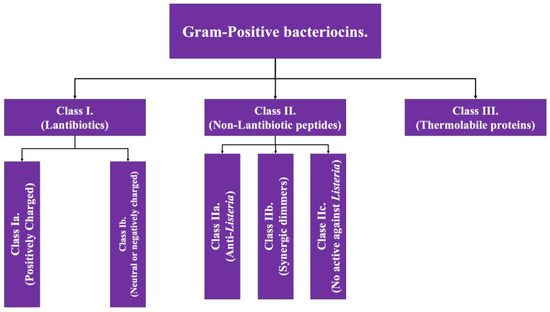 Classification and Multi-Functional Use of Bacteriocins in Health ...