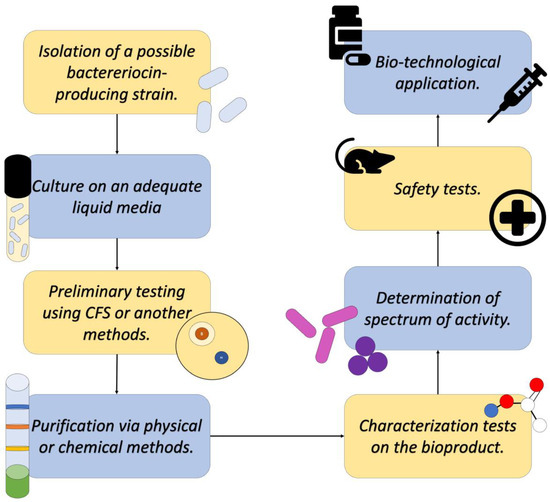Classification and Multi-Functional Use of Bacteriocins in Health ...